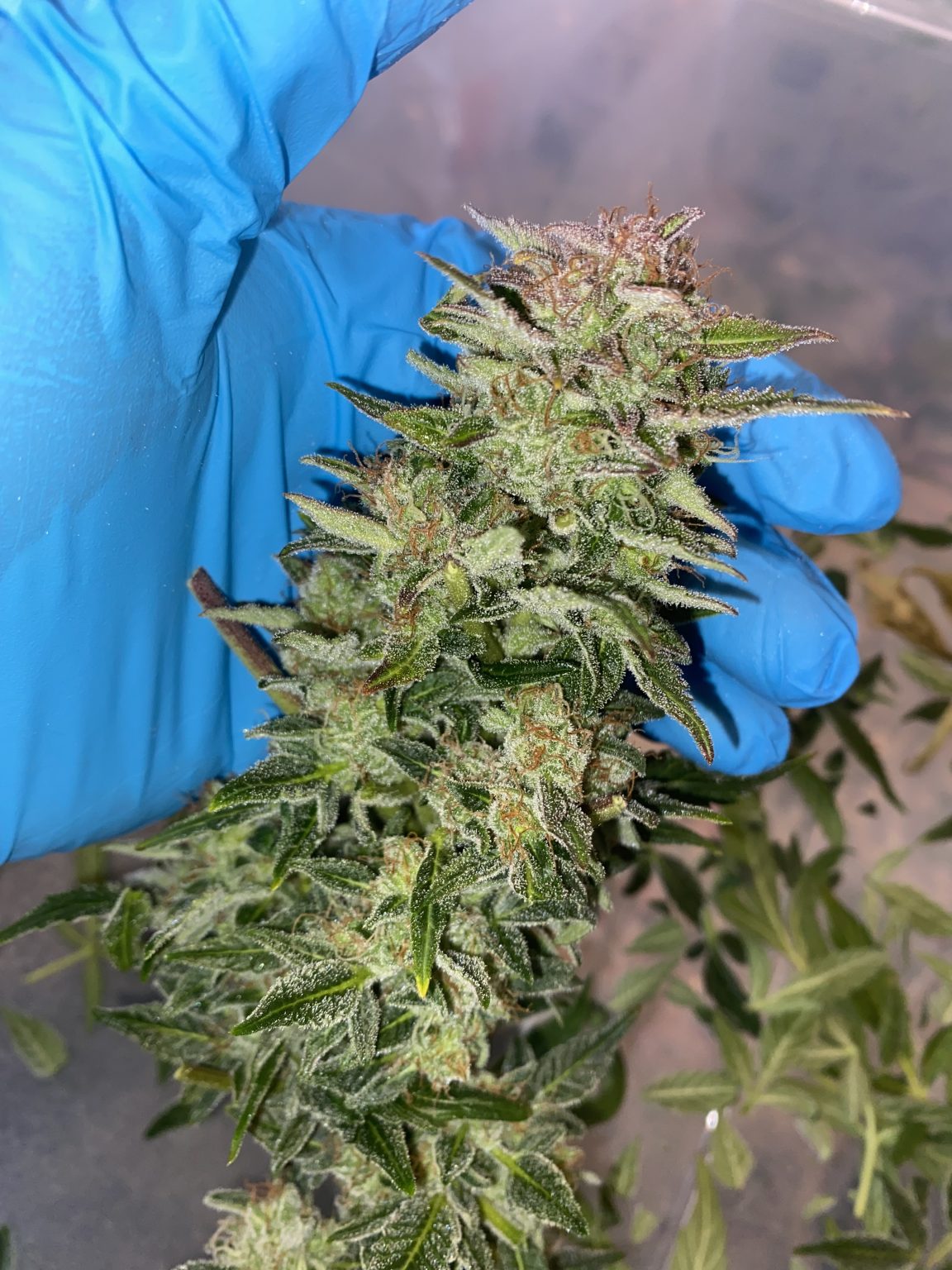 Contact – The Davidson Ranch LLC